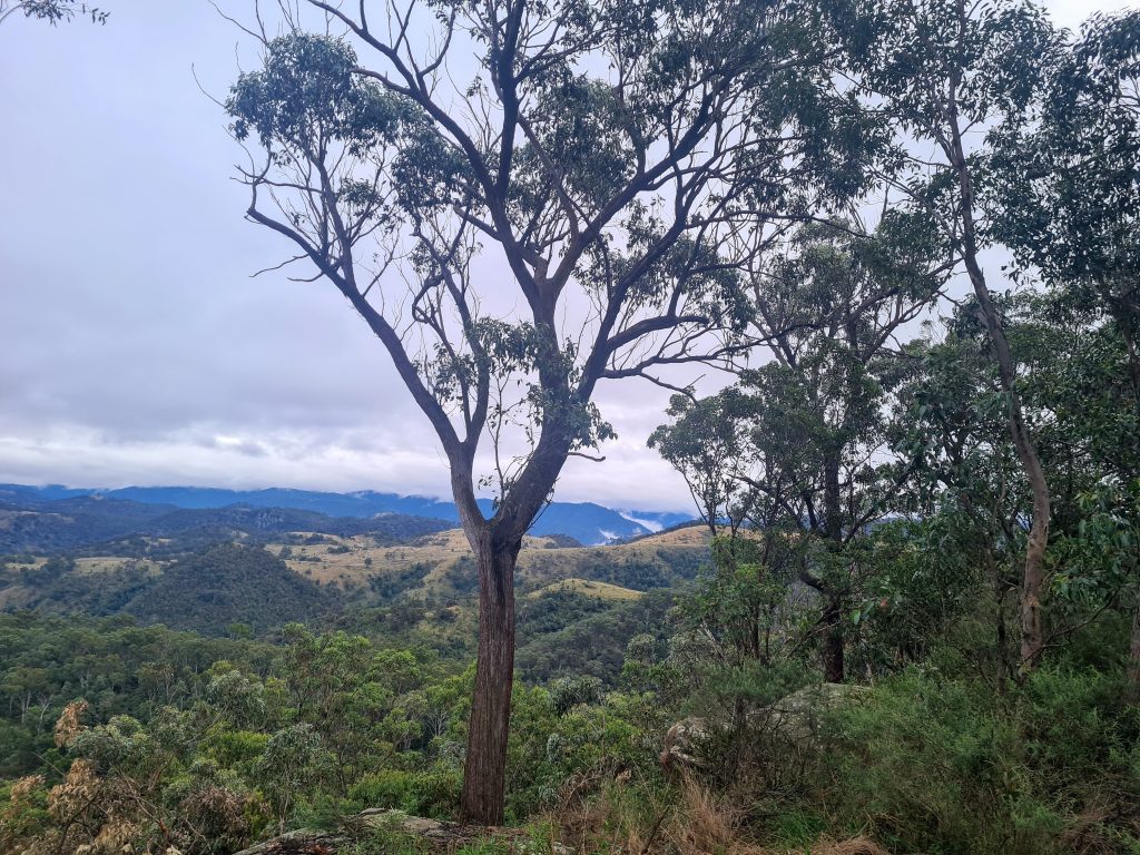 Isolation; a power in healing mental health Release My Super